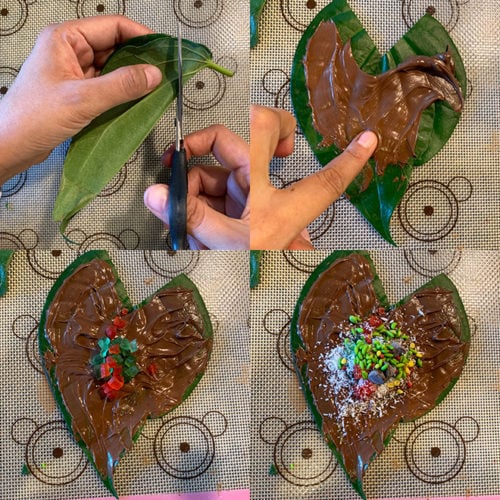 チョコレートパーン（チョコレートミータパーン）) | Kathryn Coltrin